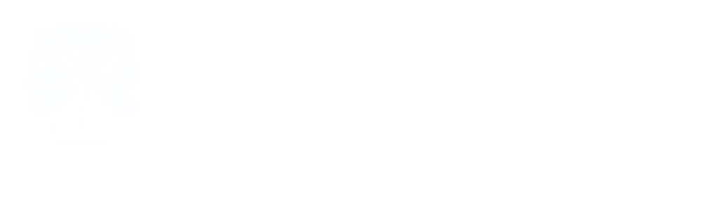 Janus Products - Alarm and Detection - Janus Fire Systems